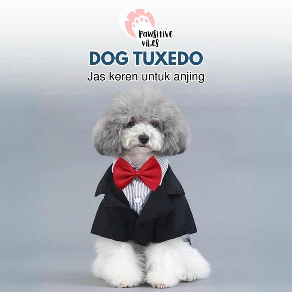 Jual Dog / Cat Tuxedo - Baju Kondangan Jas Kucing dan Anjing - Pet / Dog / Cat Wedding Attire ...