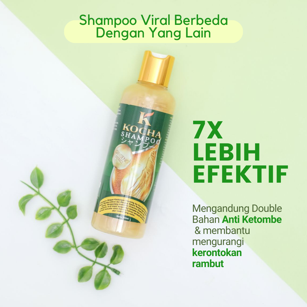 Jual Kocha Shampoo Obat Anti Ketombe Dandruff dan Hair Tonic Rambut Rontok Obat Penghilang ...