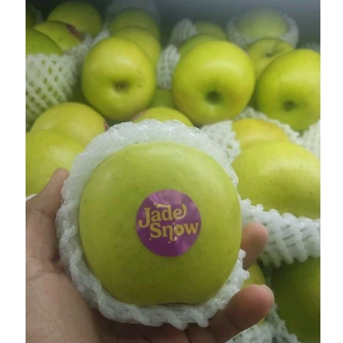 Jual Apel garing jade snow rrc 1 kg | Shopee Indonesia