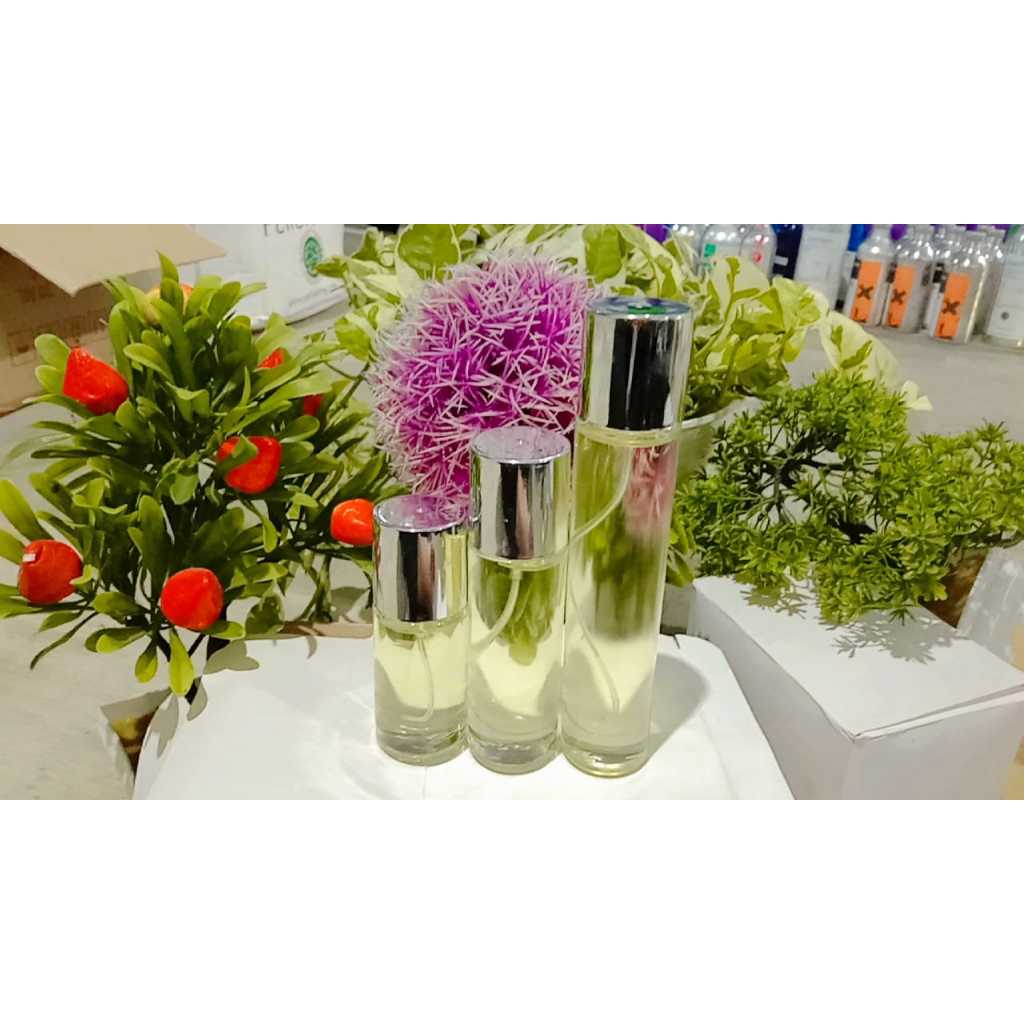Jual SCANDAL SECRET ( parfum refile /isi ulang kemasan botol cassa ...