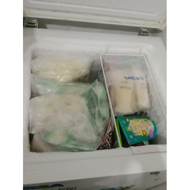 Jual Paket 6 Bulan Sewa Freezer ASI / ASIP - Ukuran 100 Liter ...
