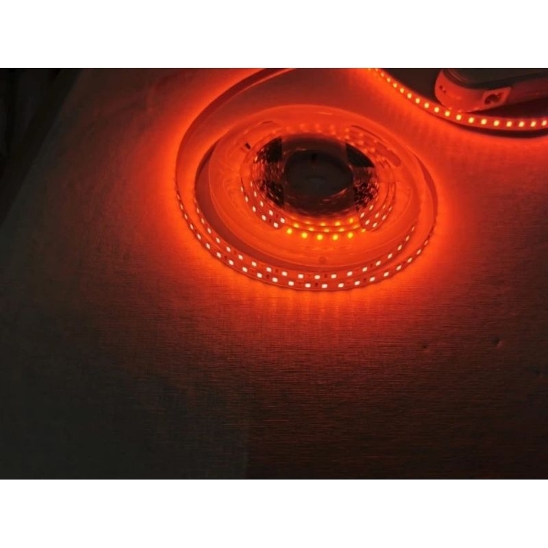 Jual LED devil demon 1rol 5meter | Shopee Indonesia