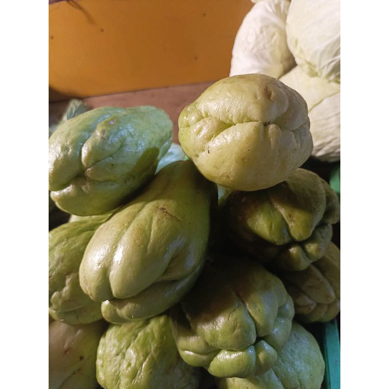 Jual Labu besar/kambes fresh tersedia di pasar senen 1pcs | Shopee ...