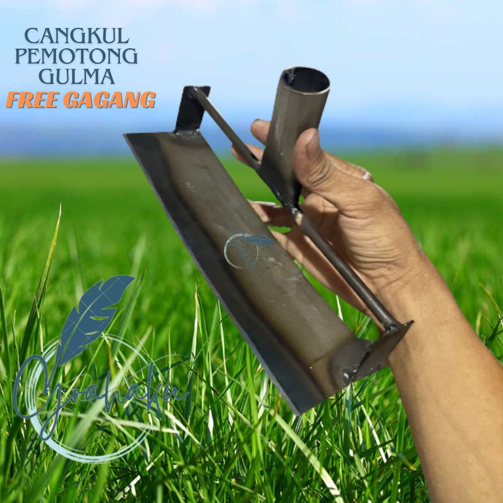 Jual Cangkul Pembersih Gulma Free Gagang - Cangkul Pemotong Hama Gulma ...