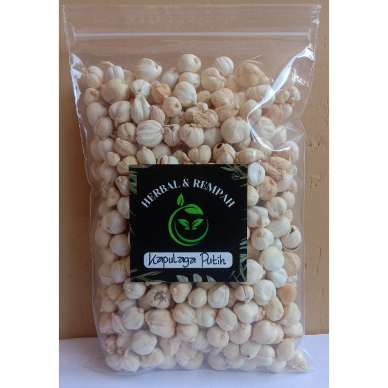 Jual Kapulaga Putih/White Cardamon 100gr | Shopee Indonesia