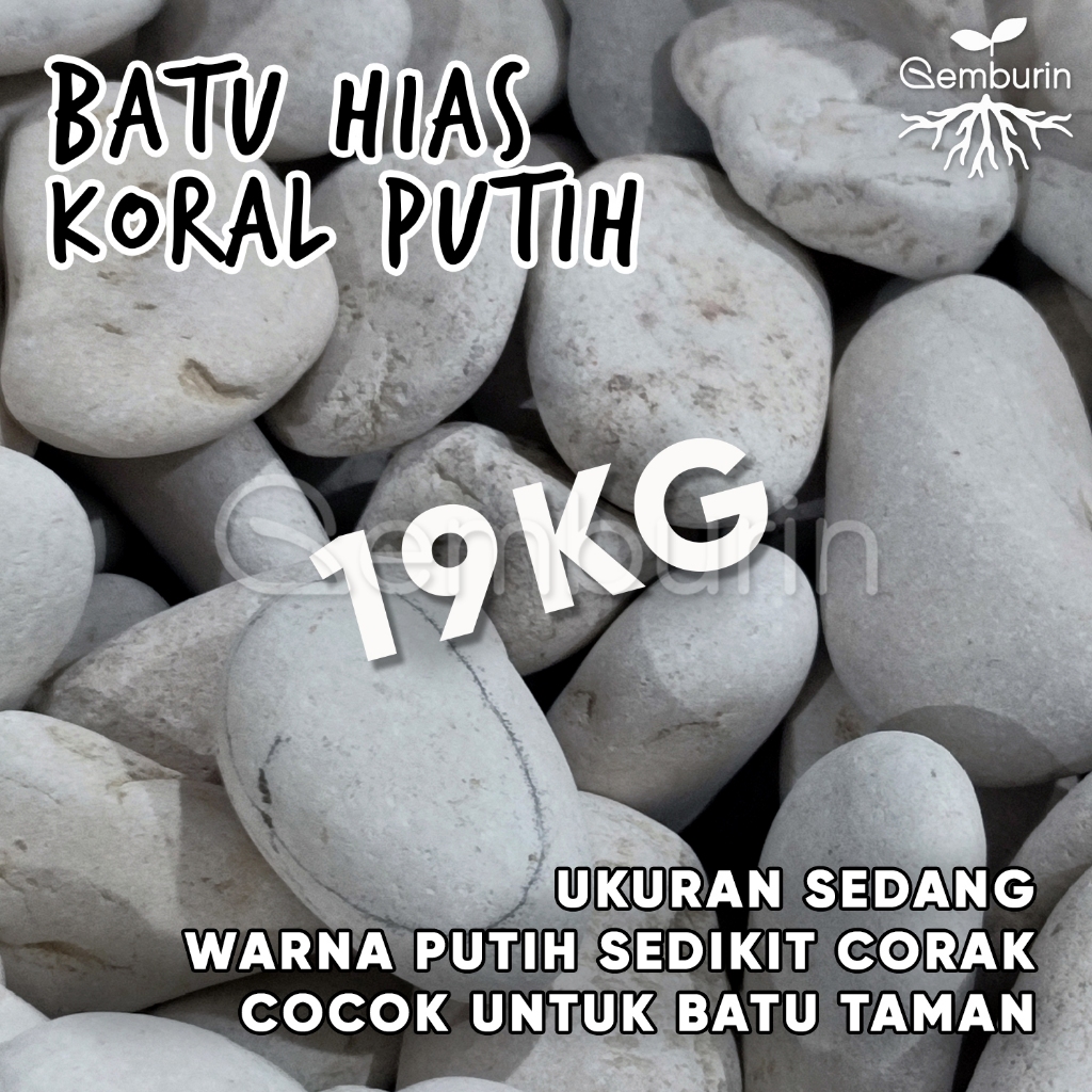 Jual Batu Koral Putih 19-20 Kg SEDANG KARUNGAN / Batu Putih Kupang Hias ...