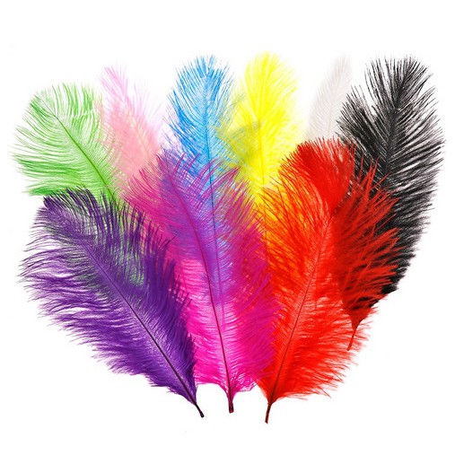 Jual Colorful Ostrich Feather - Bulu Burung Unta 15-25cm (1pc) | Shopee ...