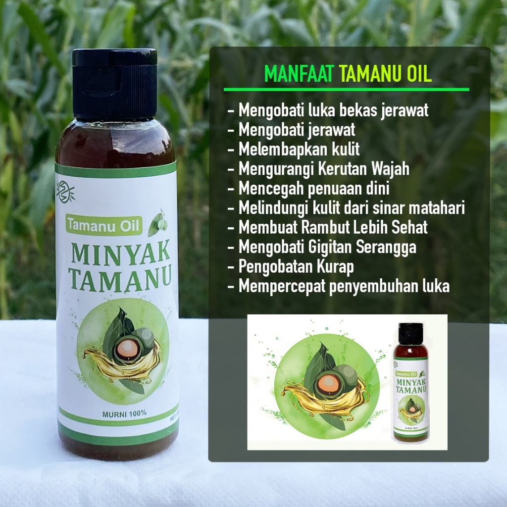 Jual Tamanu Oil Original Premium Quality | Shopee Indonesia