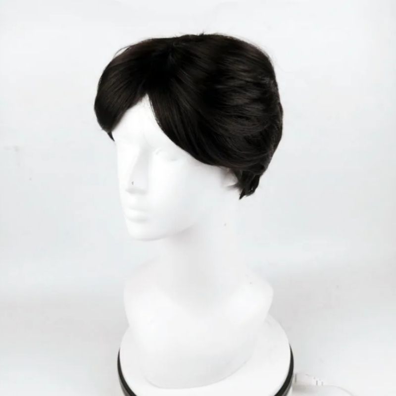 Jual Wig Pria Rambut Pendek Lurus Warna Hitam Natural Model Artis ...