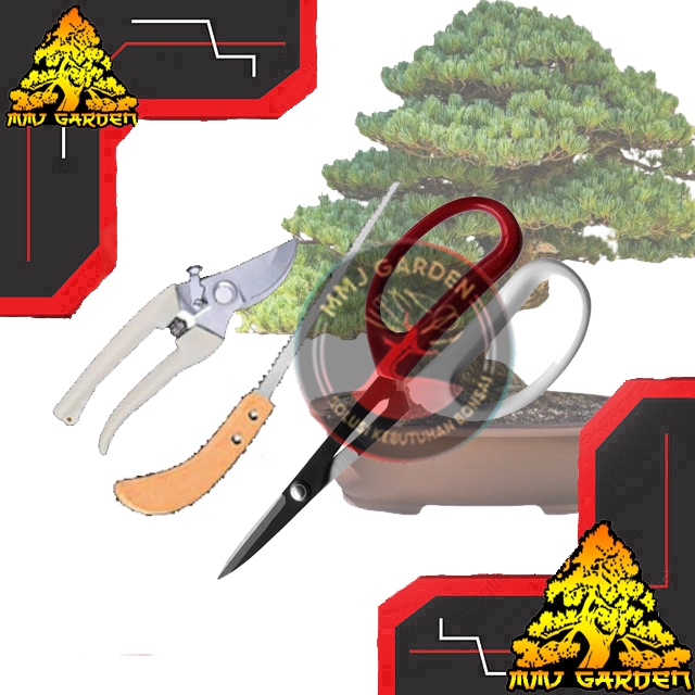 Jual MMJ GARDEN-ALAT BONSAI PAKET ALAT BONSAI IMPORT 1 SET 3 PCS ... Jual MMJ GARDEN-ALAT BONSAI PAKET ALAT BONSAI IMPORT 1 SET 3 PCS ...