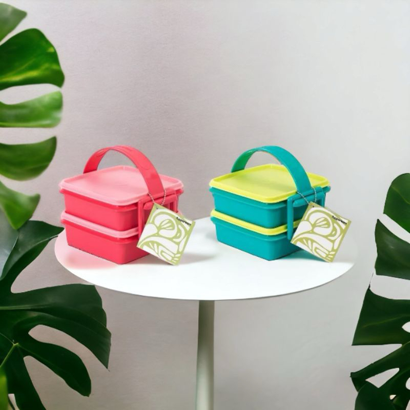 Jual Small Carry All Set (2 susun) | Shopee Indonesia