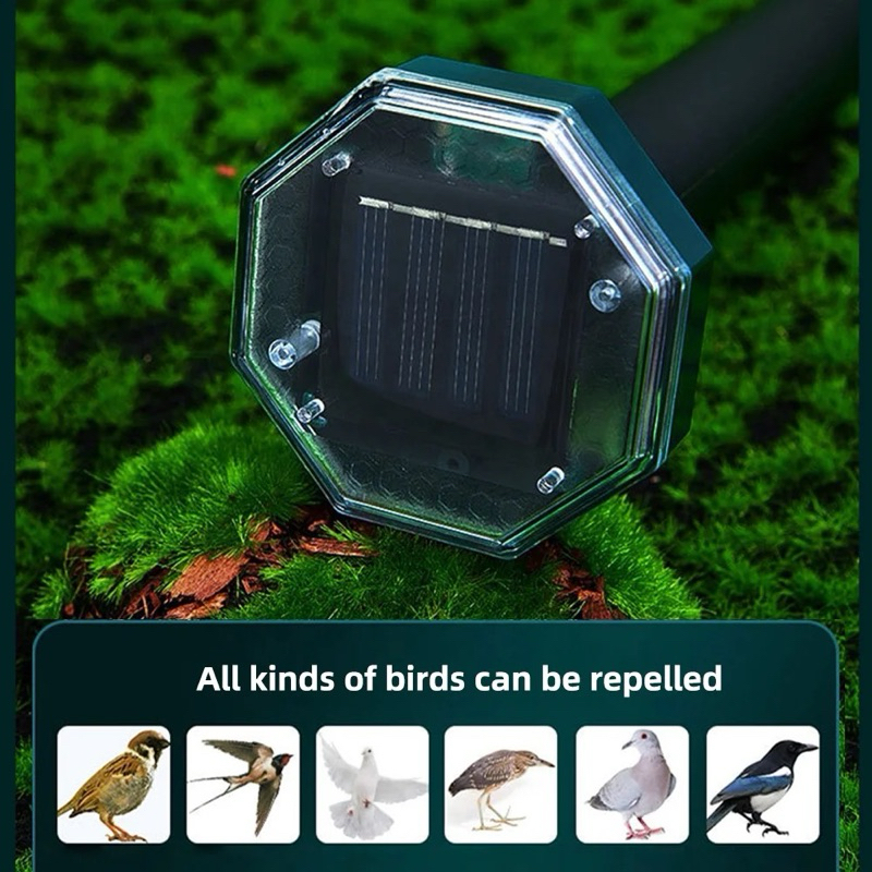 Jual Alat Pengusir Burung Tikus Hama Sawah Pertanian Perkebunan ...