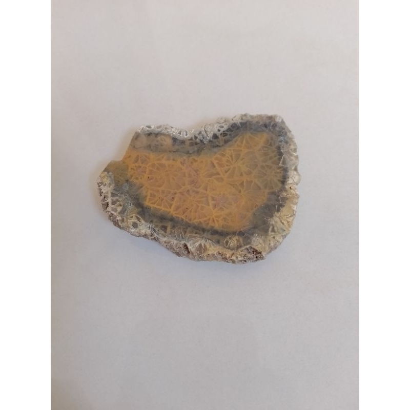 Jual bahan batu teratai jaring laba-laba | Shopee Indonesia