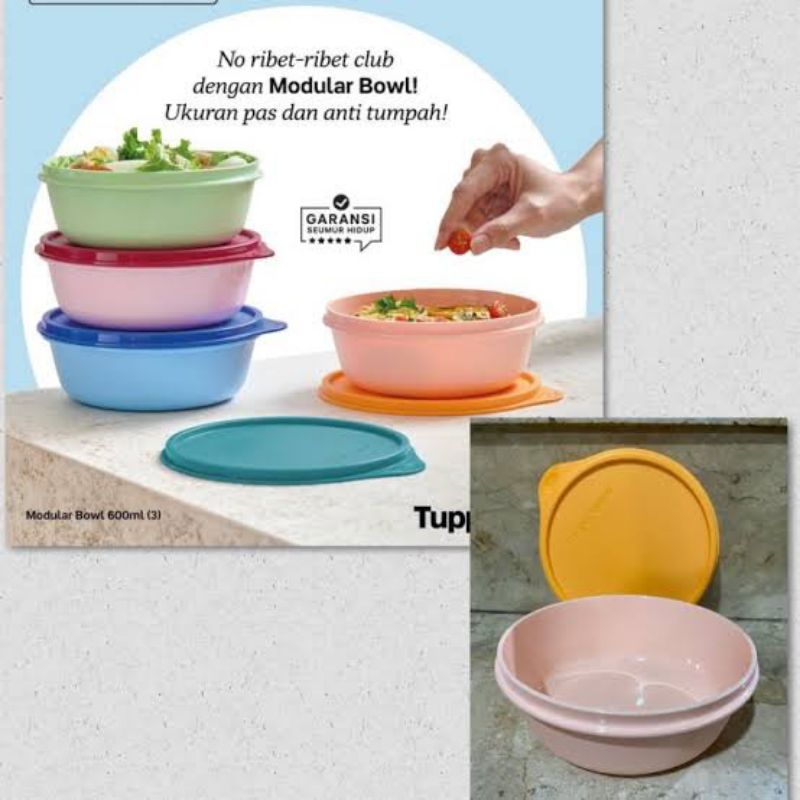 Jual Tupperware modular bowl 600 ml | Shopee Indonesia