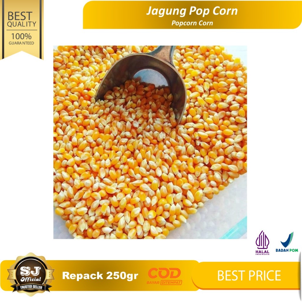 Jual Jagung POP CORN Original Kemasan 250gr - BIG POP POP CORN BEST ...