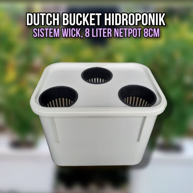 Jual Dutch Bucket Hidroponik Pot Ember Hidroponik 8 Liter 3 Lubang ...