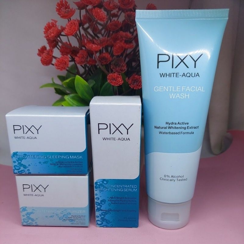 Jual PIXY PAKET 4 in 1/PAKET PIXY GRATIS BLUSH ON (Day k+Night k+Conc ...