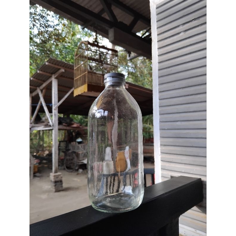 Jual Botol kaca ikan cupang - Botol Infus - Botol Bening ukuran 500ml (ex obat) | Shopee Indonesia
