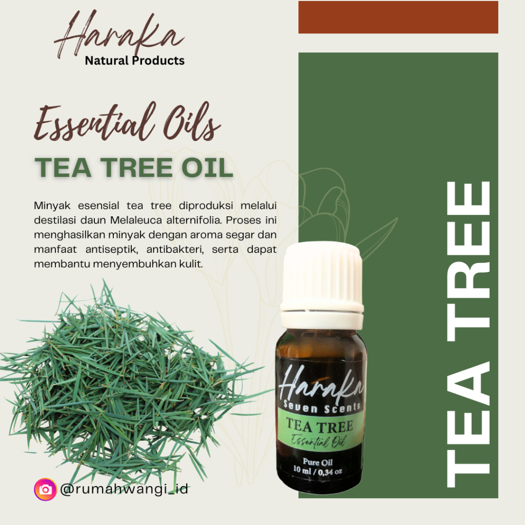 Jual Essential Oil / Minyak Atsiri - Tea Tree Oil (10ml) | Shopee Indonesia
