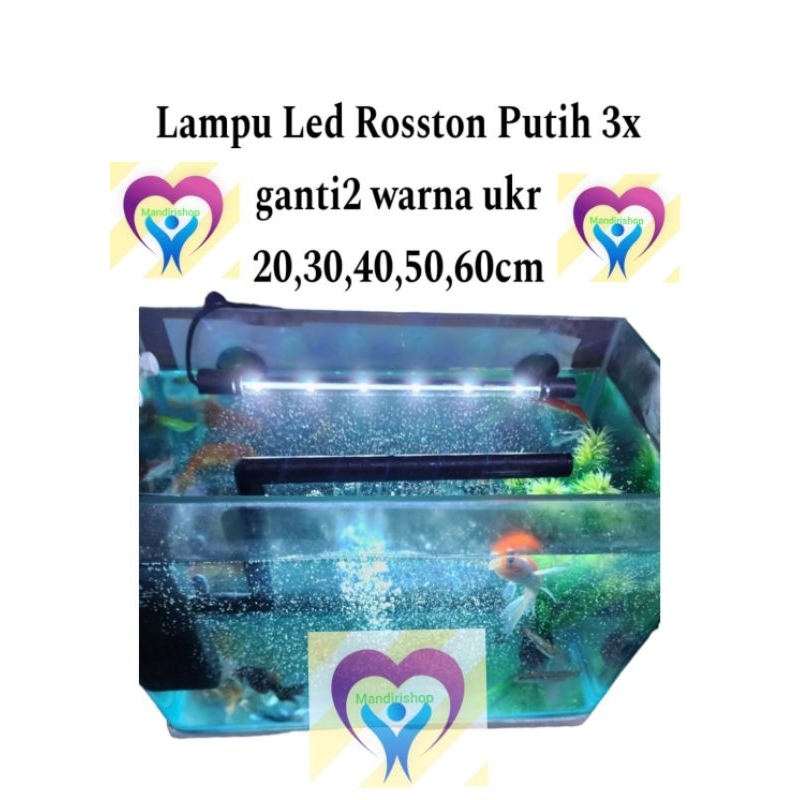 Jual Lampu Led 2baris Rosston Warna Putih 3x Ganti2 Warna ukr 20,30,40,50,60cm | Shopee Indonesia