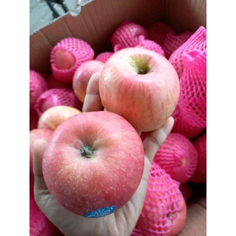 Jual Apel Fuji 1Kg | Shopee Indonesia