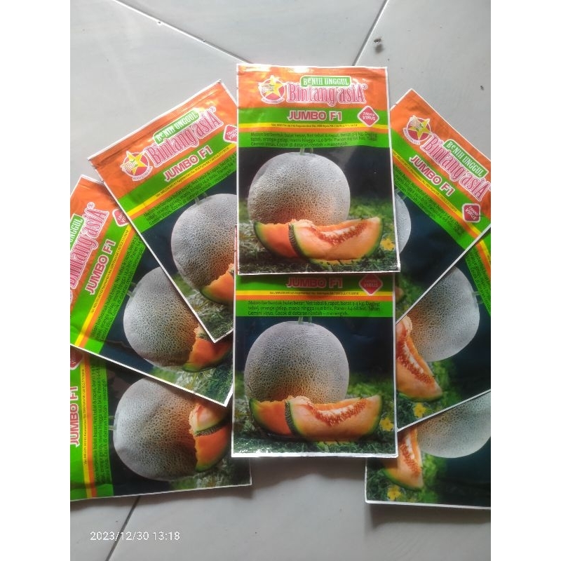 Jual Benih MElon Oren JUMBO F1 kemasn original pabrik.isi 20gr | Shopee ...