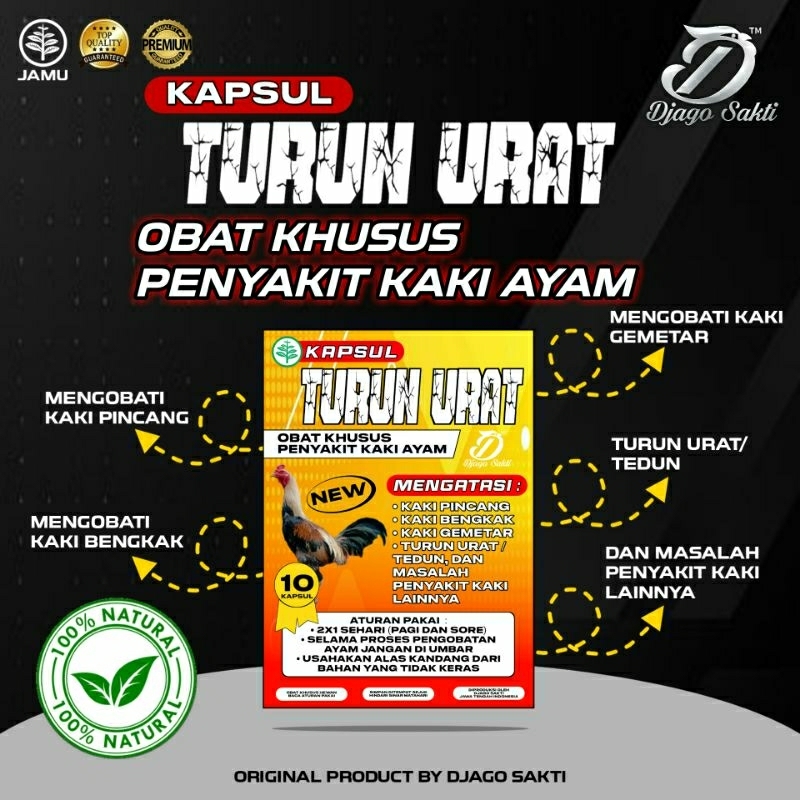 Jual Obat Pincang Turun Urat Ayam (Kemasan Baru) | Shopee Indonesia