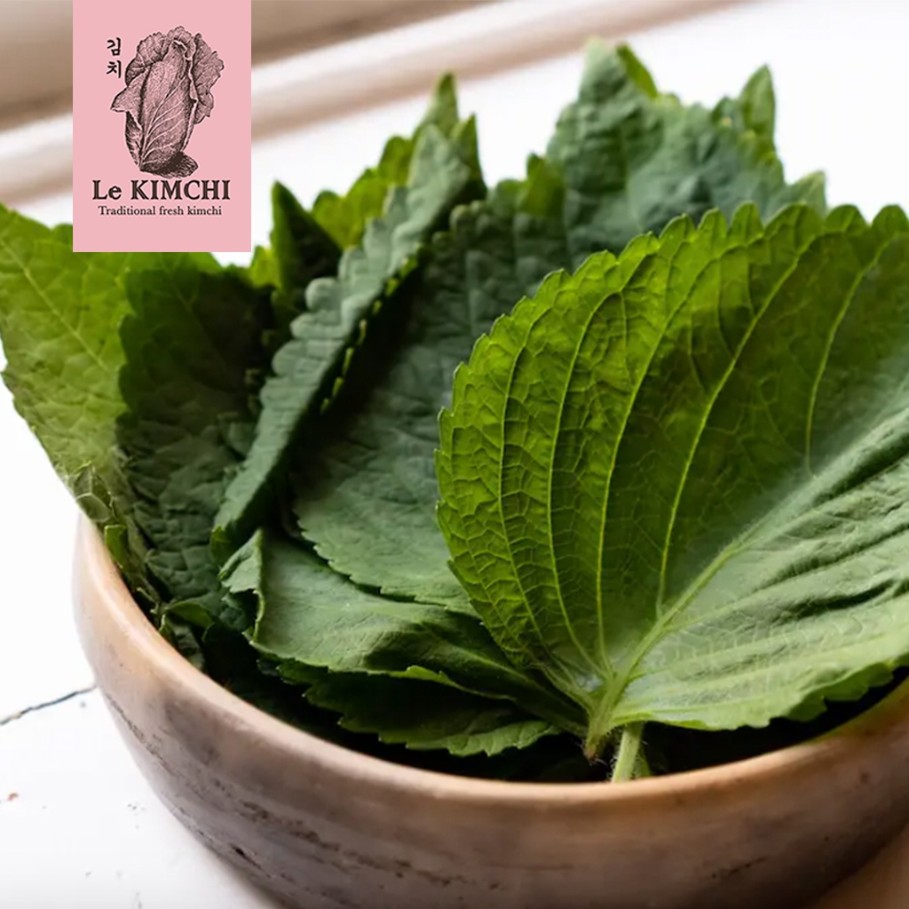 Jual KKAENNIP Korean Perilla Leaves Daun Perila Korea Korean BBQ daun ...