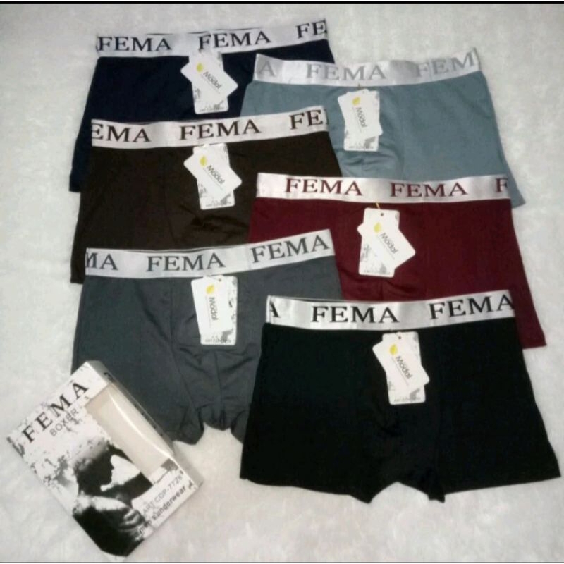 Jual CD celana dalam pria dewasa Fema | Shopee Indonesia