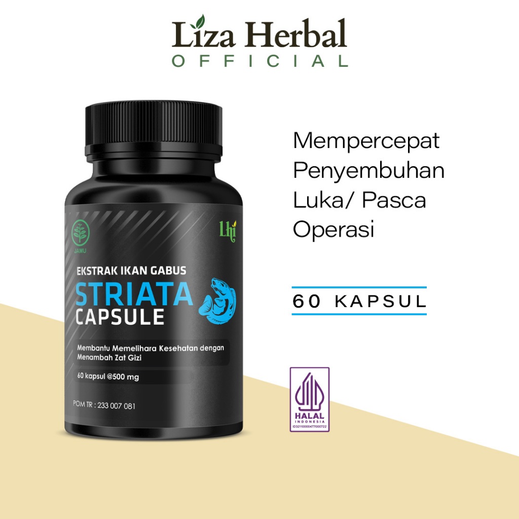 Jual Ekstrak Ikan Gabus Striata Capsule (Albumin) Membantu Memelihara ...
