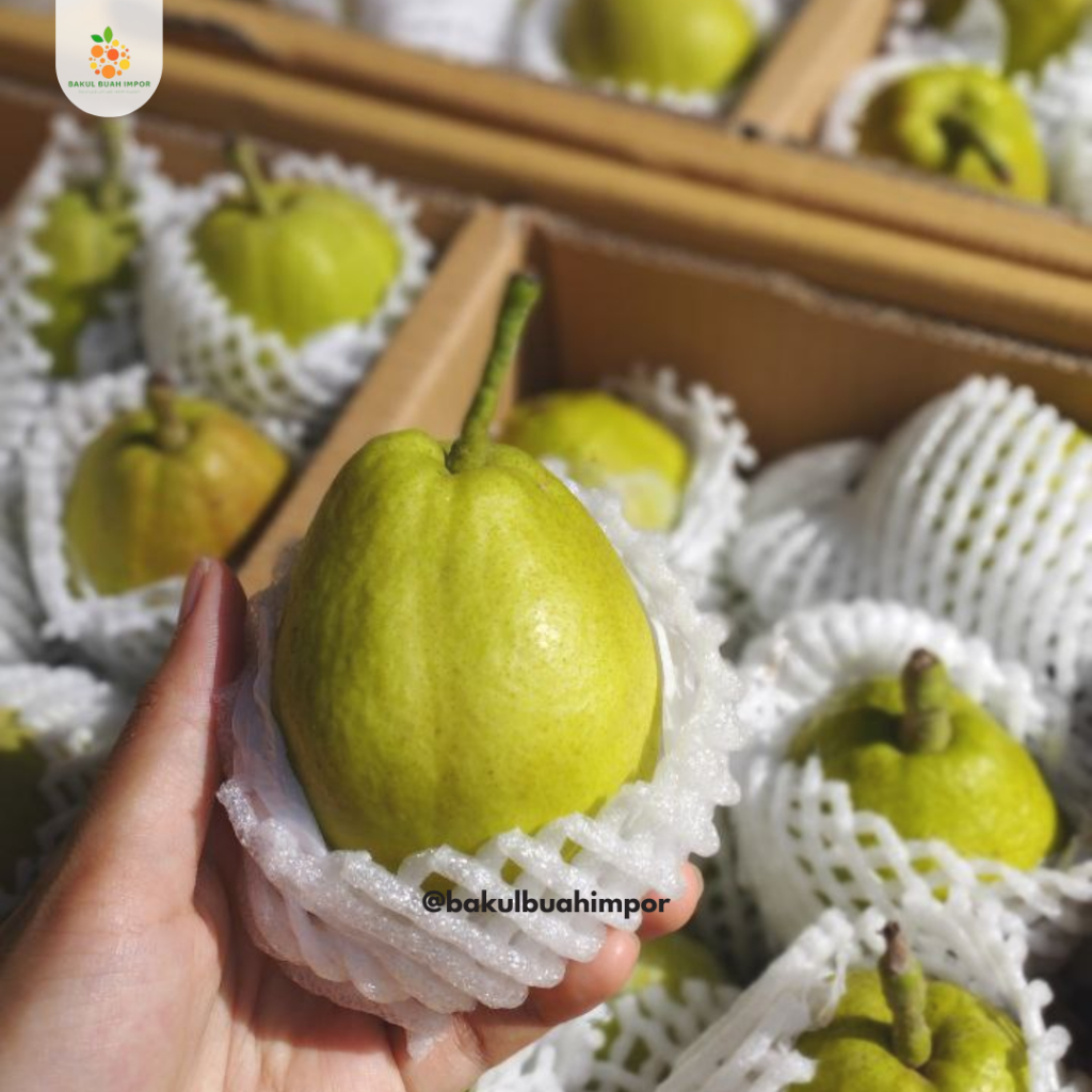 Jual Pear Xiang Lie Premium [ 1kg ] | Shopee Indonesia