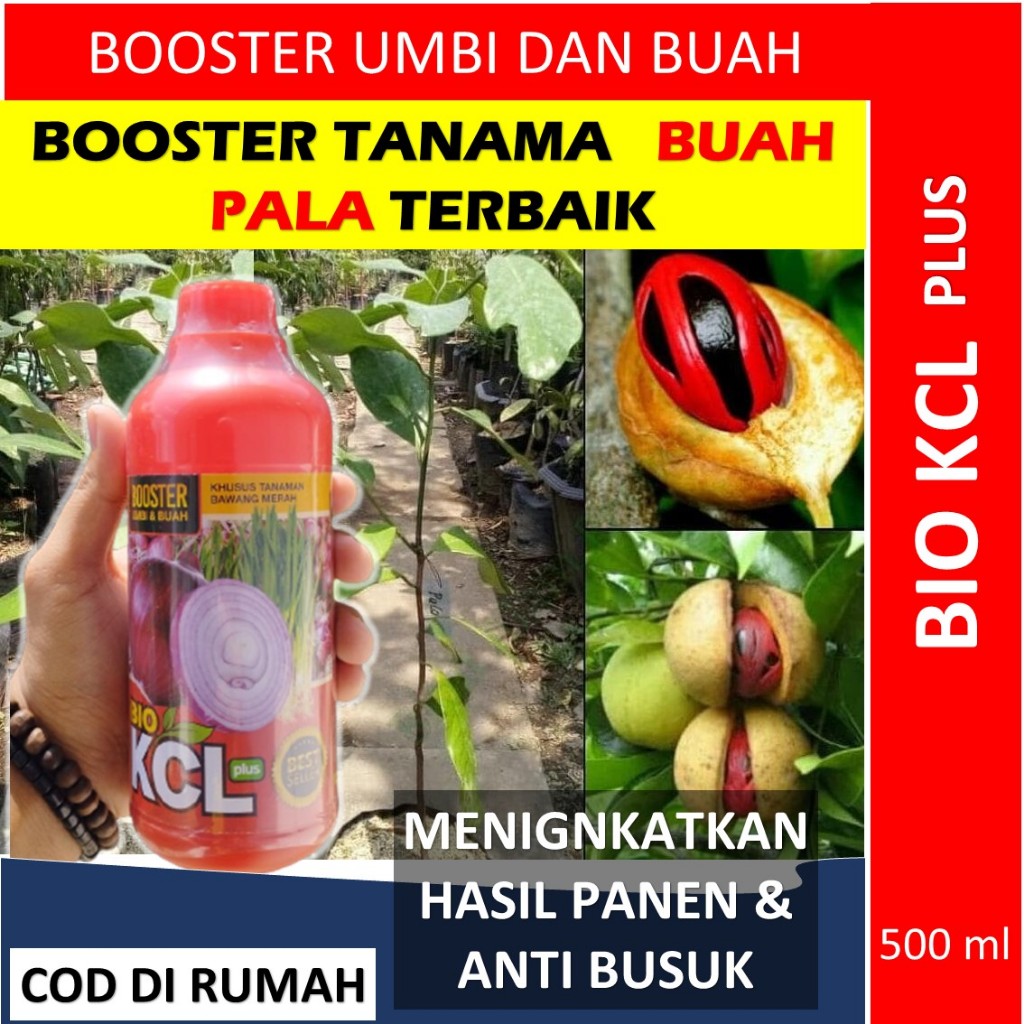 Jual Bio kcl plus 500 mlPupuk Pelebat Buah Pala - Pupuk Super Pelebat Buah pala terbaik - Pupuk ...