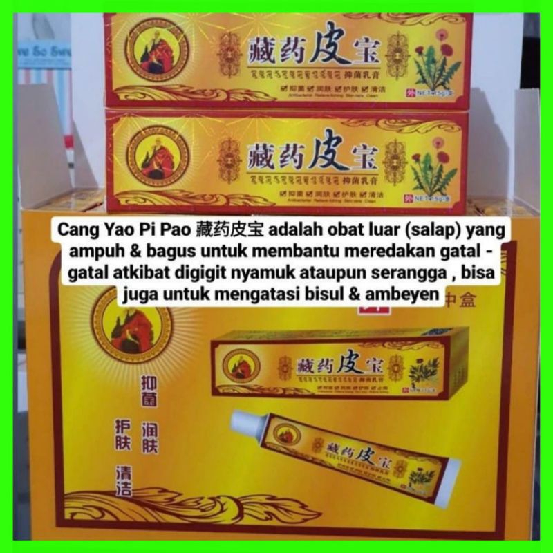 Jual CANG YAO PI BAO 15g / Salep Gatal, kurap, kutu air, alergi kulit ...