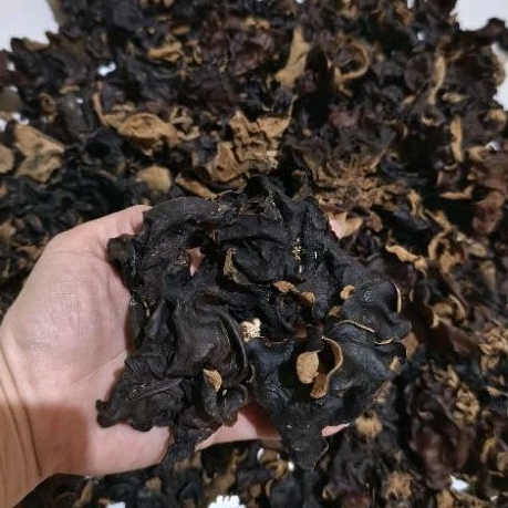 Jual JAMUR KUPING HITAM / DRIED BLACK FUNGUS / HEI MU ER - 100 GR ...