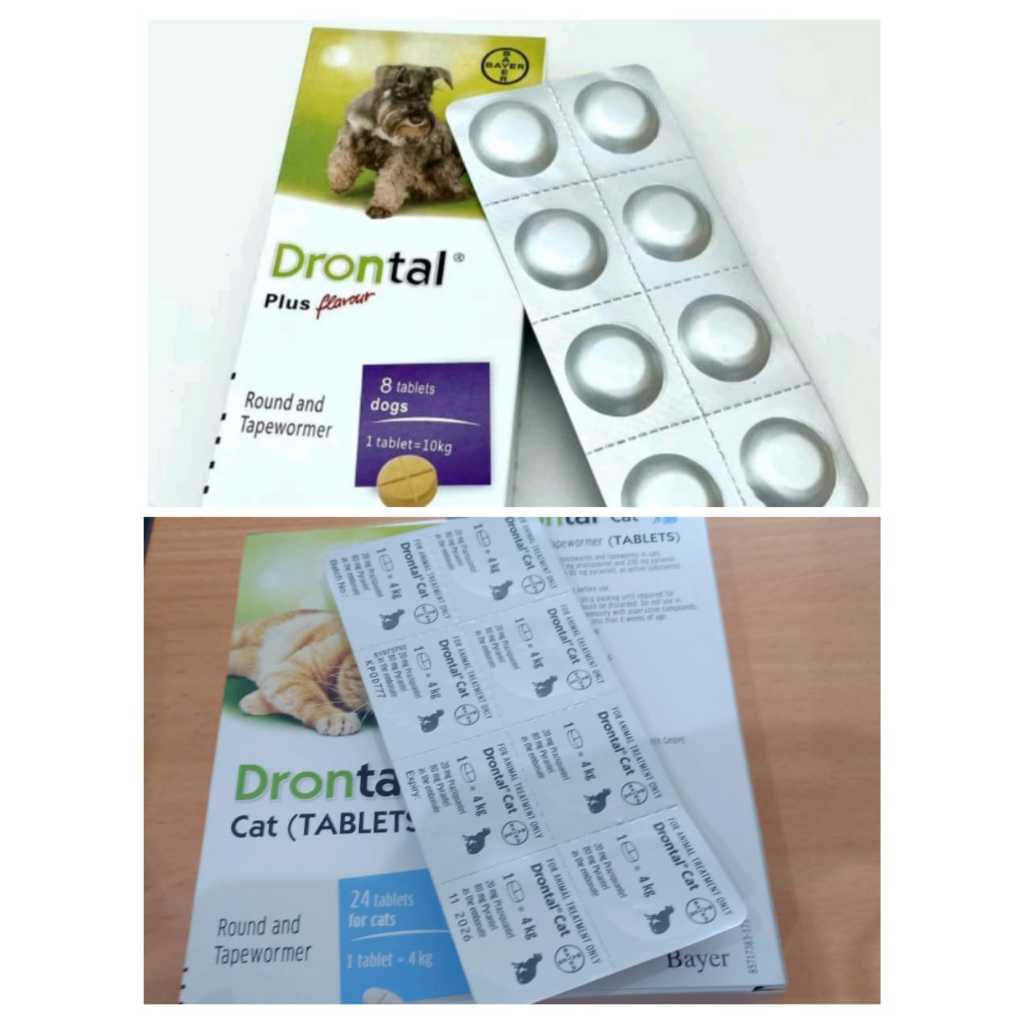 Jual Drontal cat / dog obat cacing kucing, anjing 1 Tablet / Drontal ...