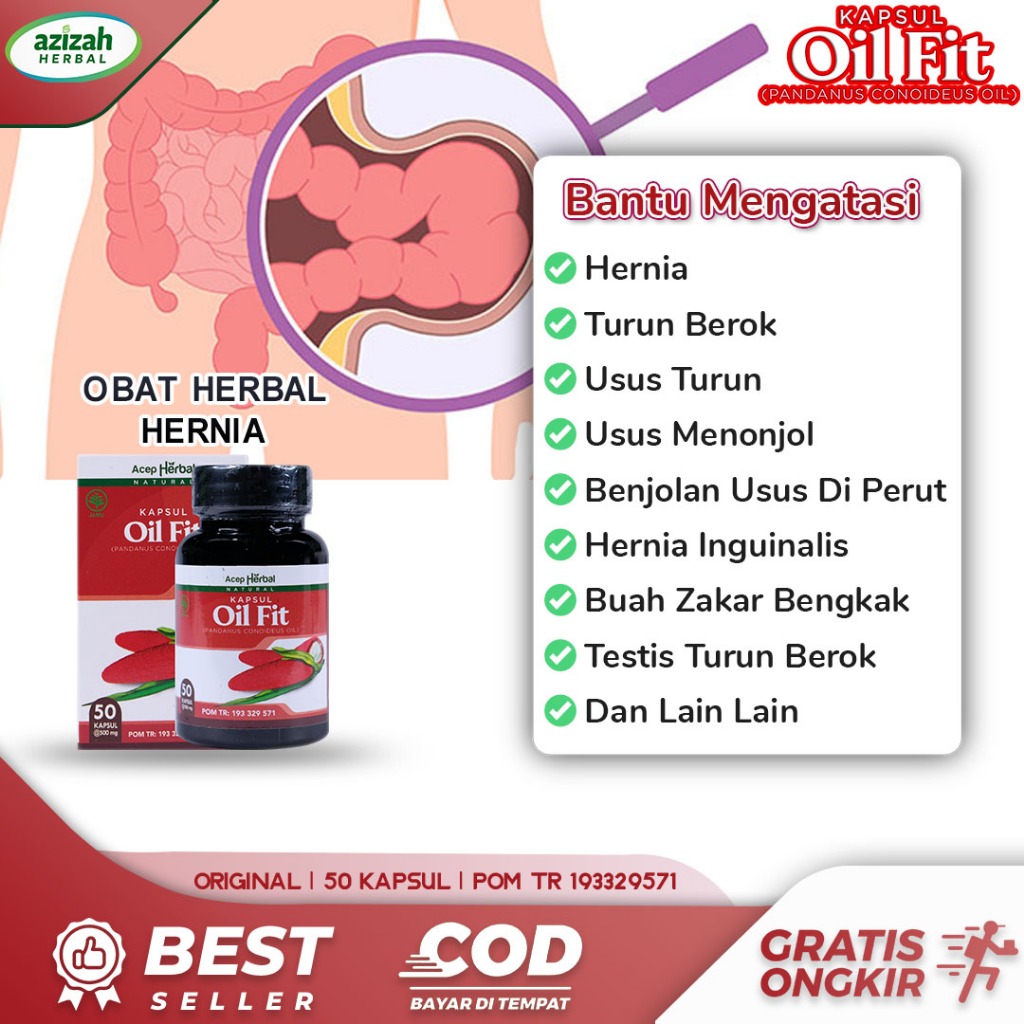 Jual Obat Hernia Turun Berok Usus Turun Menonjol Benjolan Di Perut Buah ...