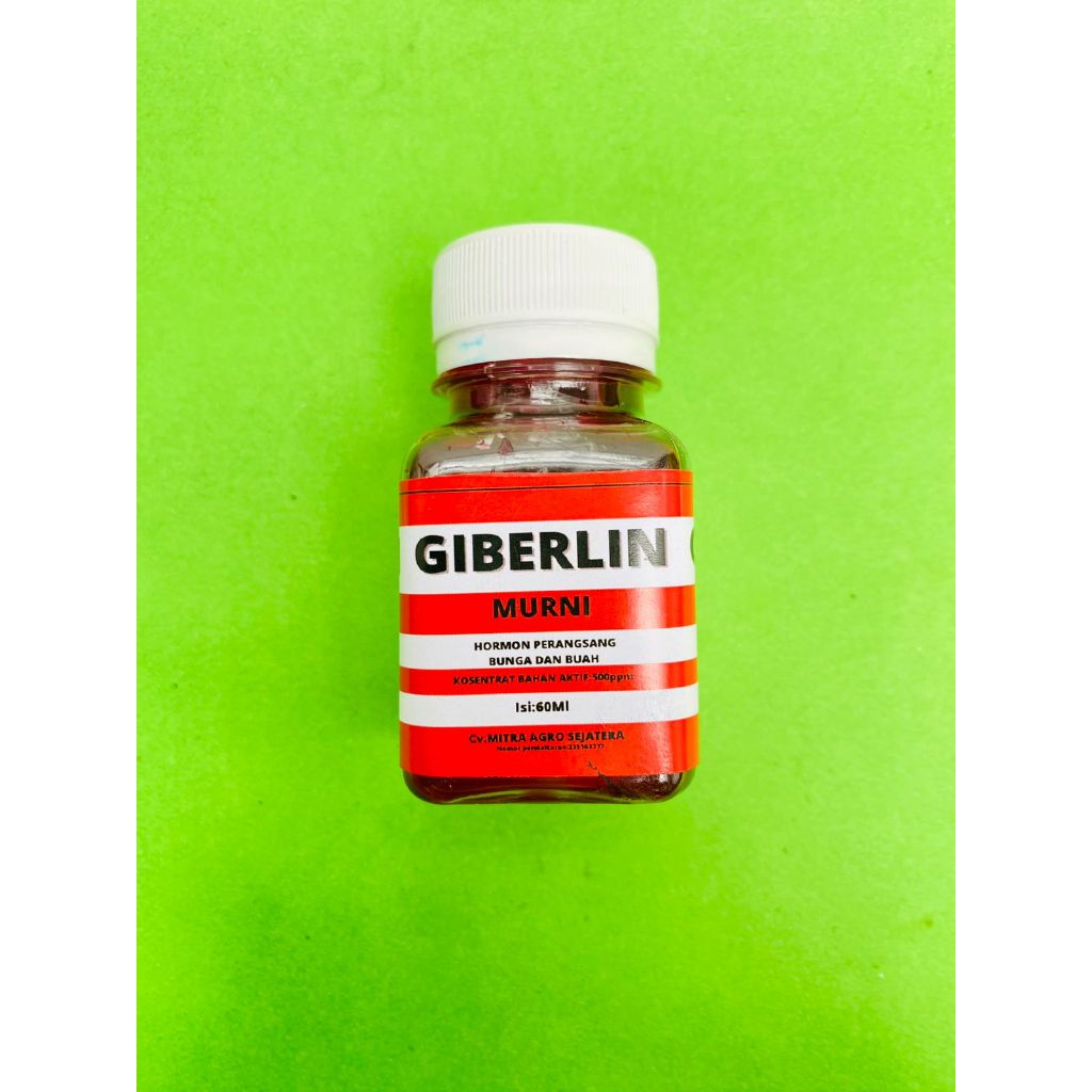 Jual Hormon Untuk Pertumbuhan Bunga dan Buah GIBERELIN Murni dari Mitra ...