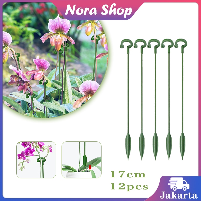 Jual Tiang Penopang Tanaman 12pcs Penyangga Tanaman Bonsai Kawat ...