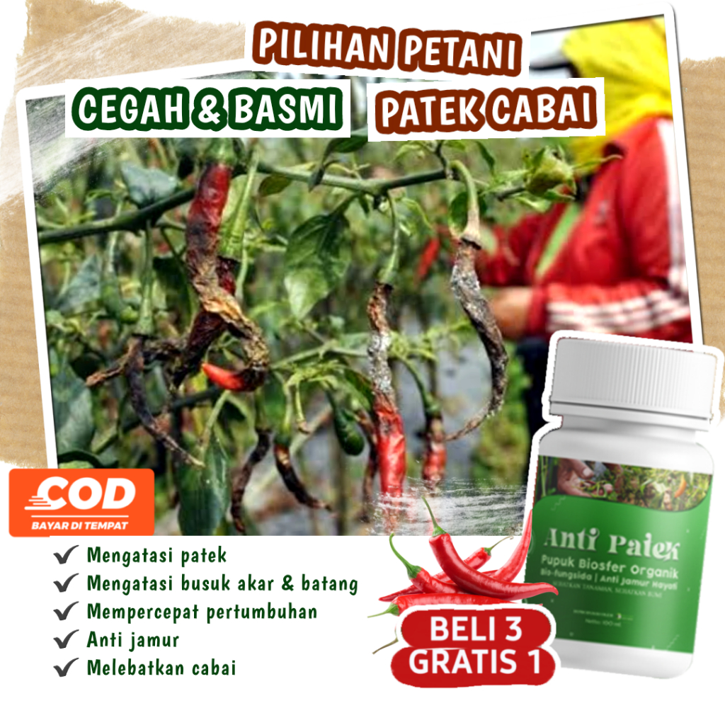 Jual ALFAGREEN –Anti Patek fungisida hayati Mengatasi Penyakit Patek ...