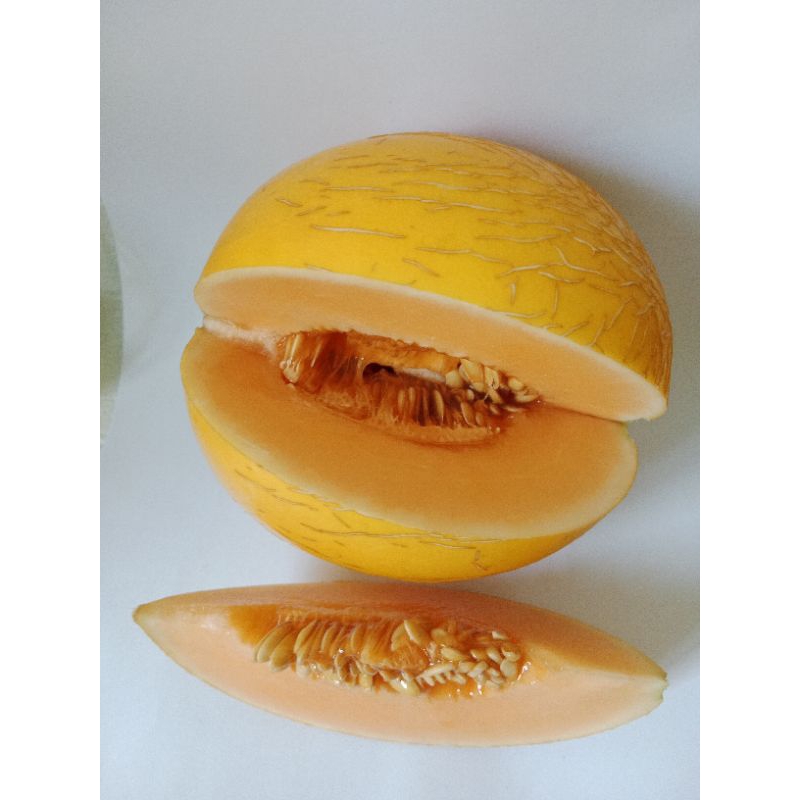 Jual Buah Melon Premium Golden Aroma Melon Century Golden Alisha Melon ...