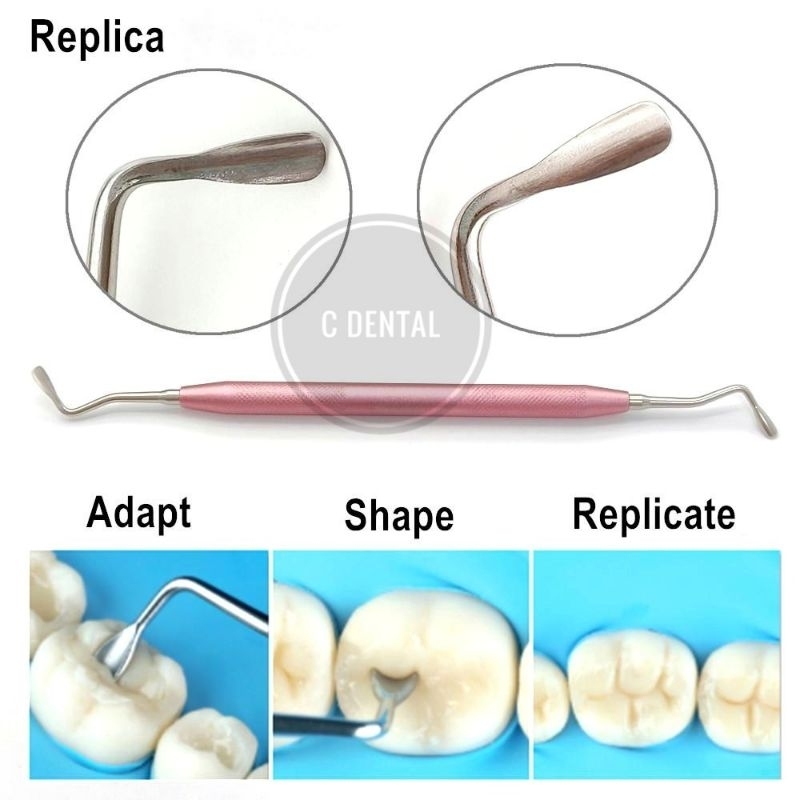 Jual Dental Posterior Replica Modeling Occlusal Anatomy Shape Composite ...