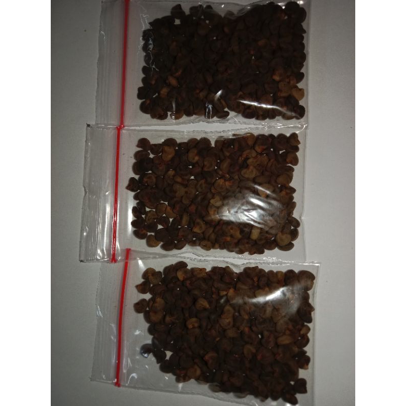 Jual Benih Bunga Rosella Merah isi +- 250 biji | Shopee Indonesia