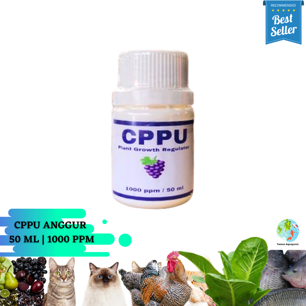 Jual CPPU Anggur ZPT Untuk Memperbesar Buah Anggur | Shopee Indonesia