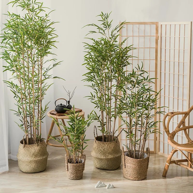 Jual POHON BAMBU HIAS 1.2M + POT - Pohon Artificial - Bamboo Tree ...