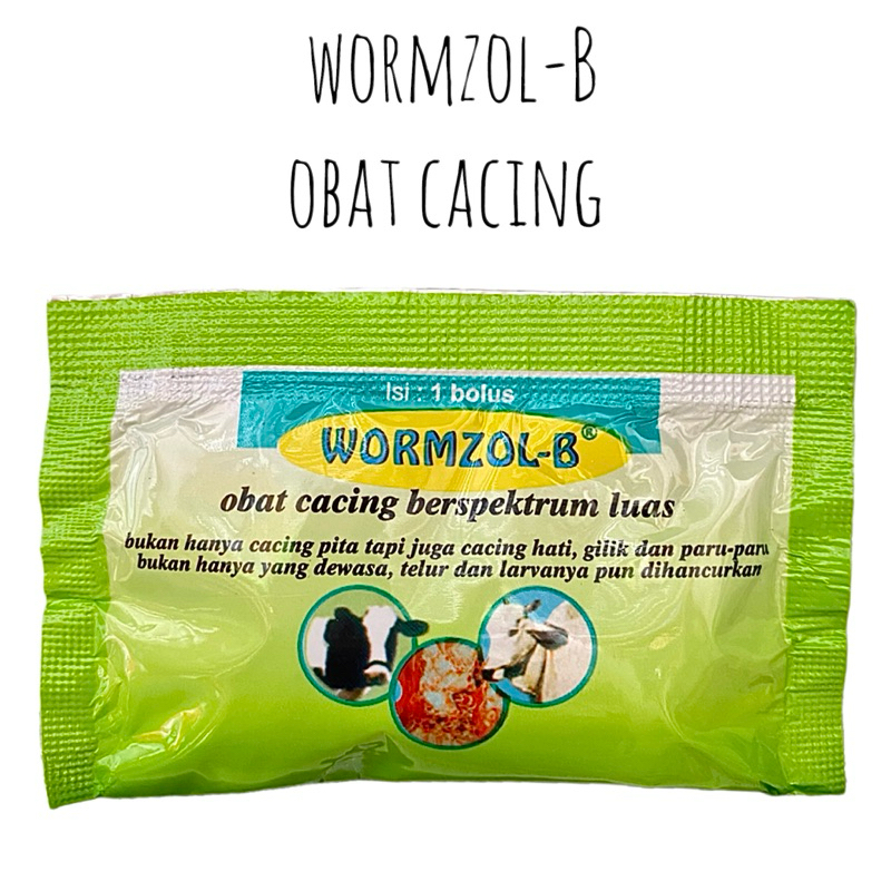Jual Wormzol B obat cacing pita cacing hati cacing paru paru cacing ...