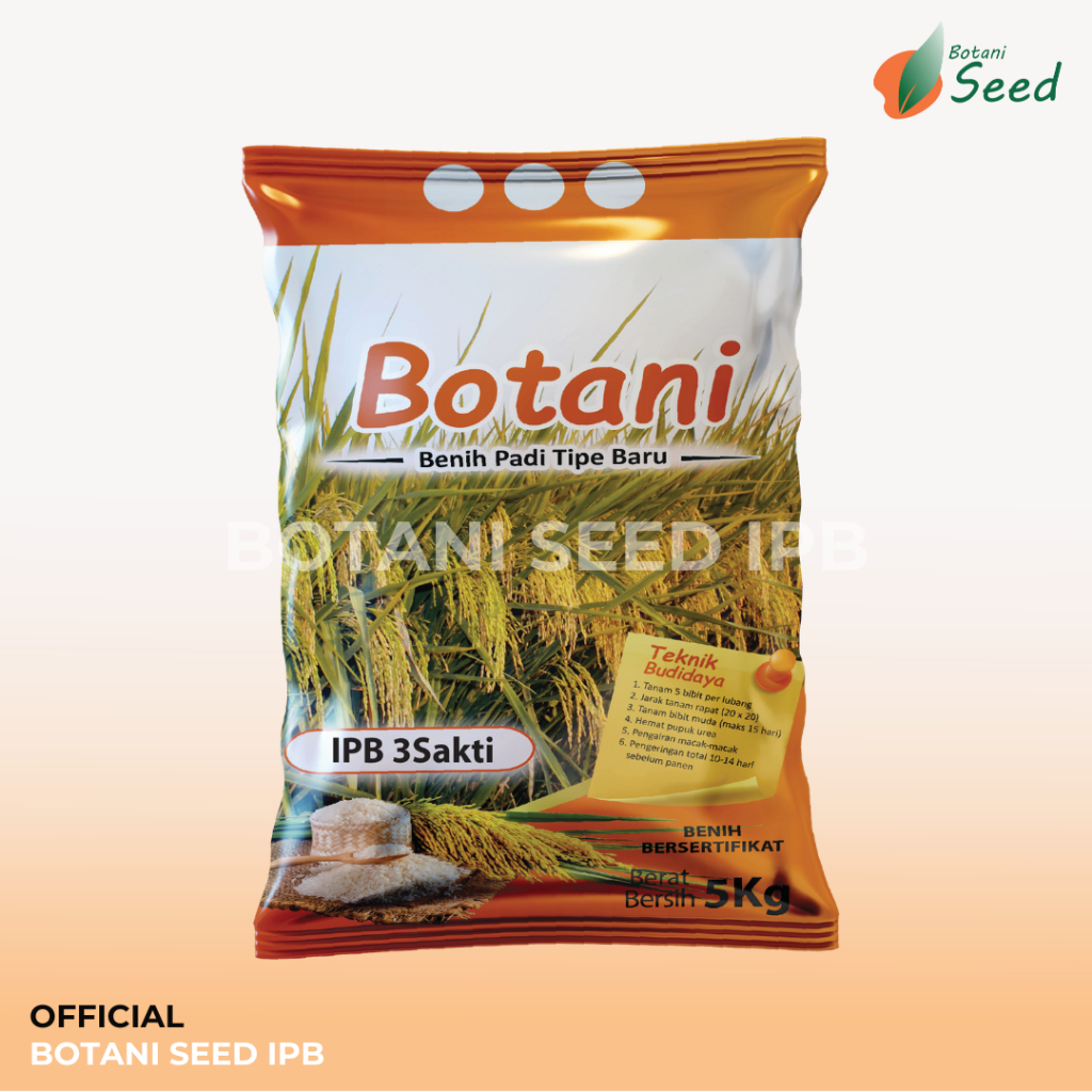 Jual Benih padi IPB 3S Original 5 kg botani seed IPB | Shopee Indonesia