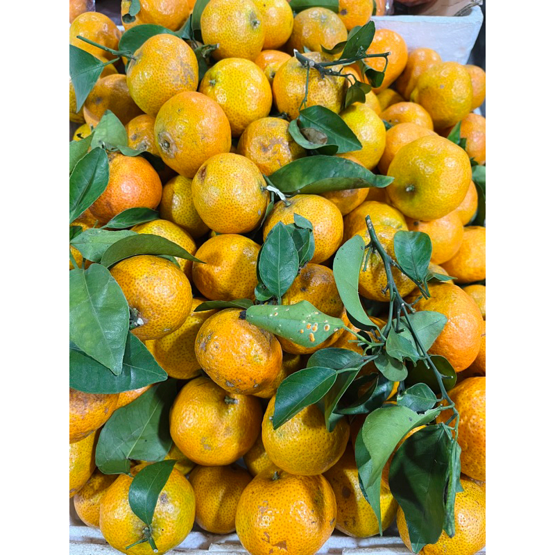 Jual FreshPAK - Hampers Buah Jeruk segar/ Ponkam / Buah CNY / Imlek ...