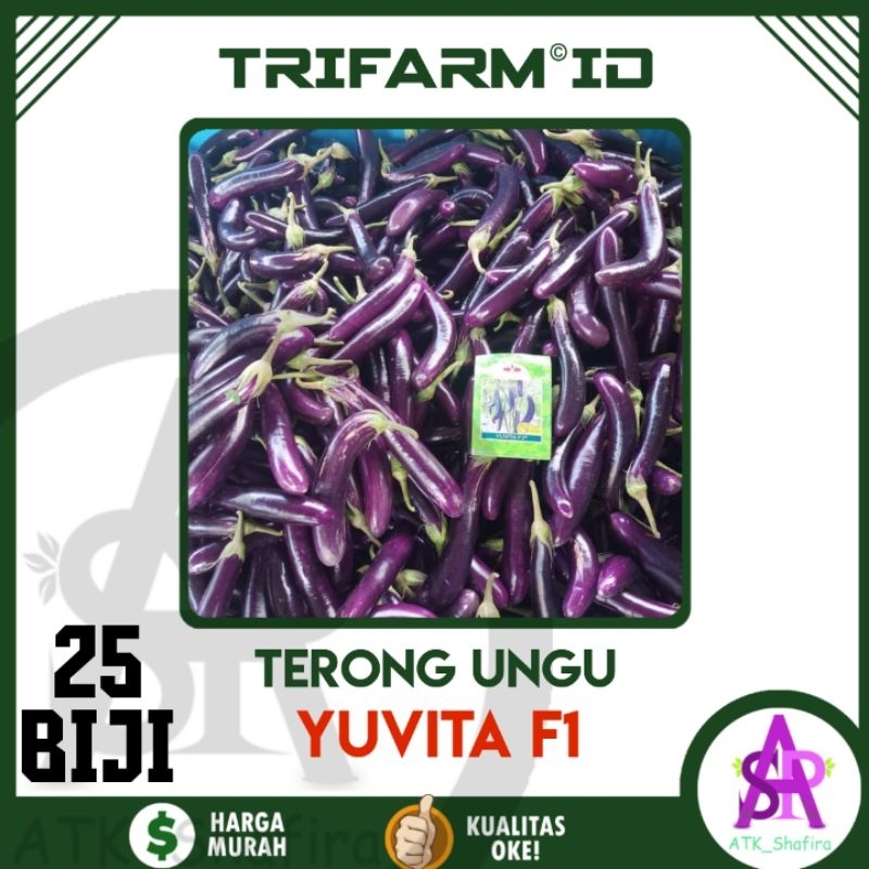 Jual TRIFARM 25 Biji Benih Bibit Terong Ungu Yuvita F1 Kemasan Ziplock | Shopee Indonesia