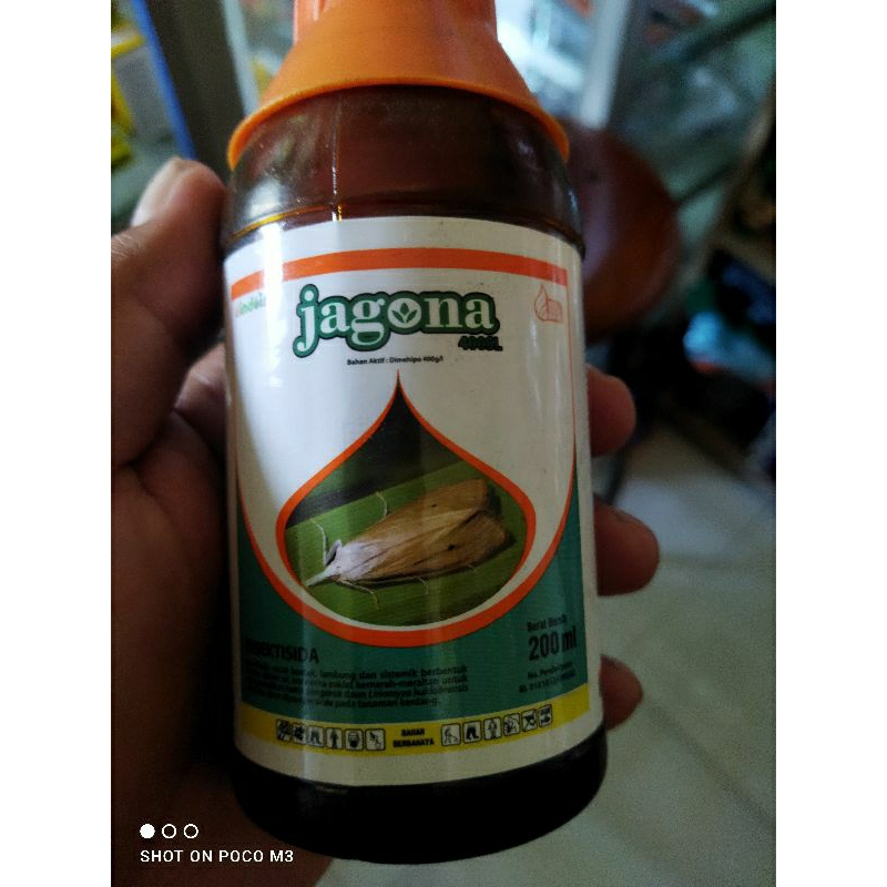 Jual Jagona 200 ml bonus monkey | Shopee Indonesia
