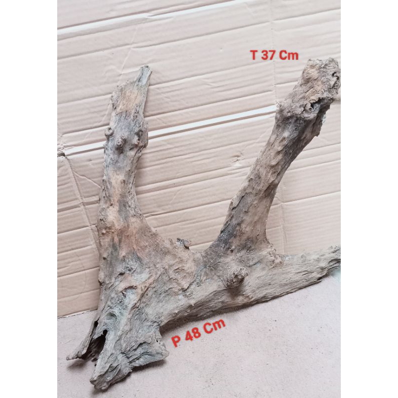 Jual kayu rentek ,Paludarium, & aquascape | Shopee Indonesia